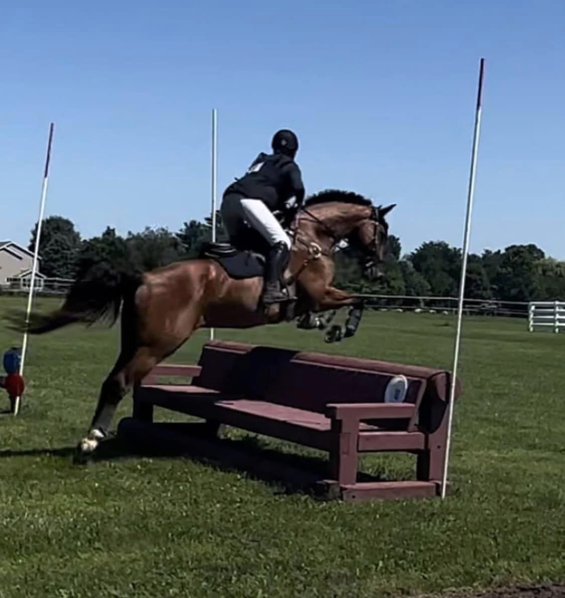 Lone Tree Stables – Lone Tree Stables, LLC